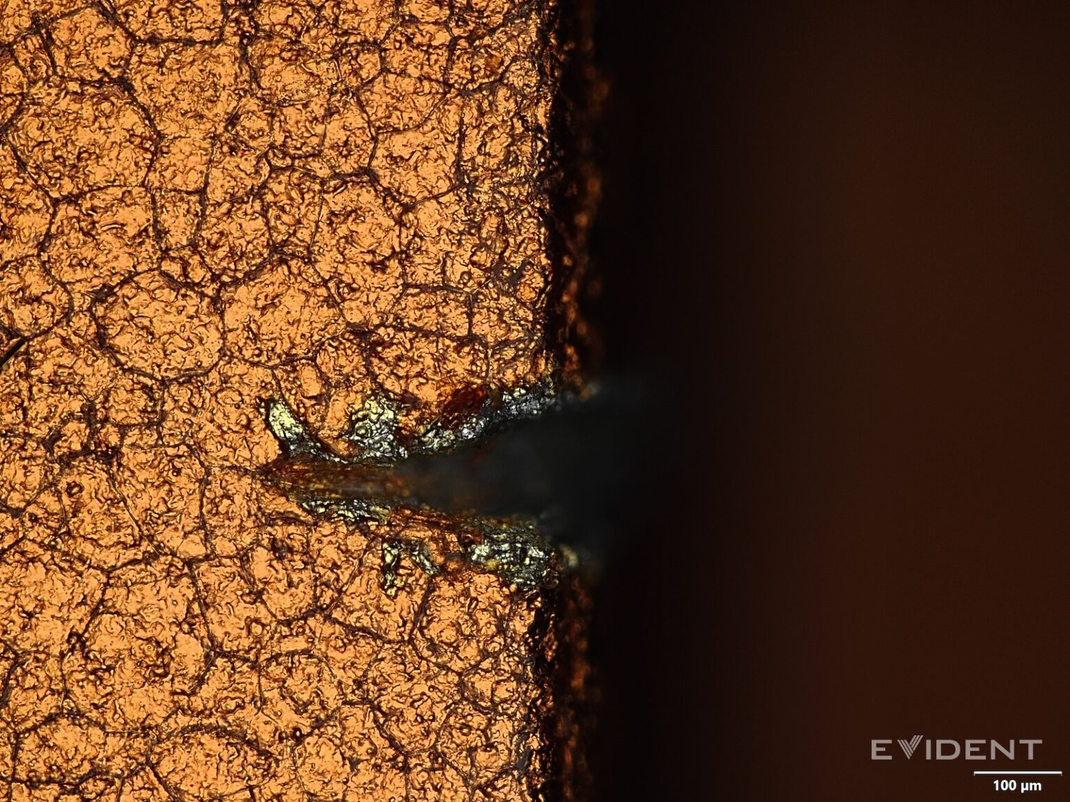 iPhone 17 Pro zeigt im Teardown Fortschritt mit Haken Apfelpatient