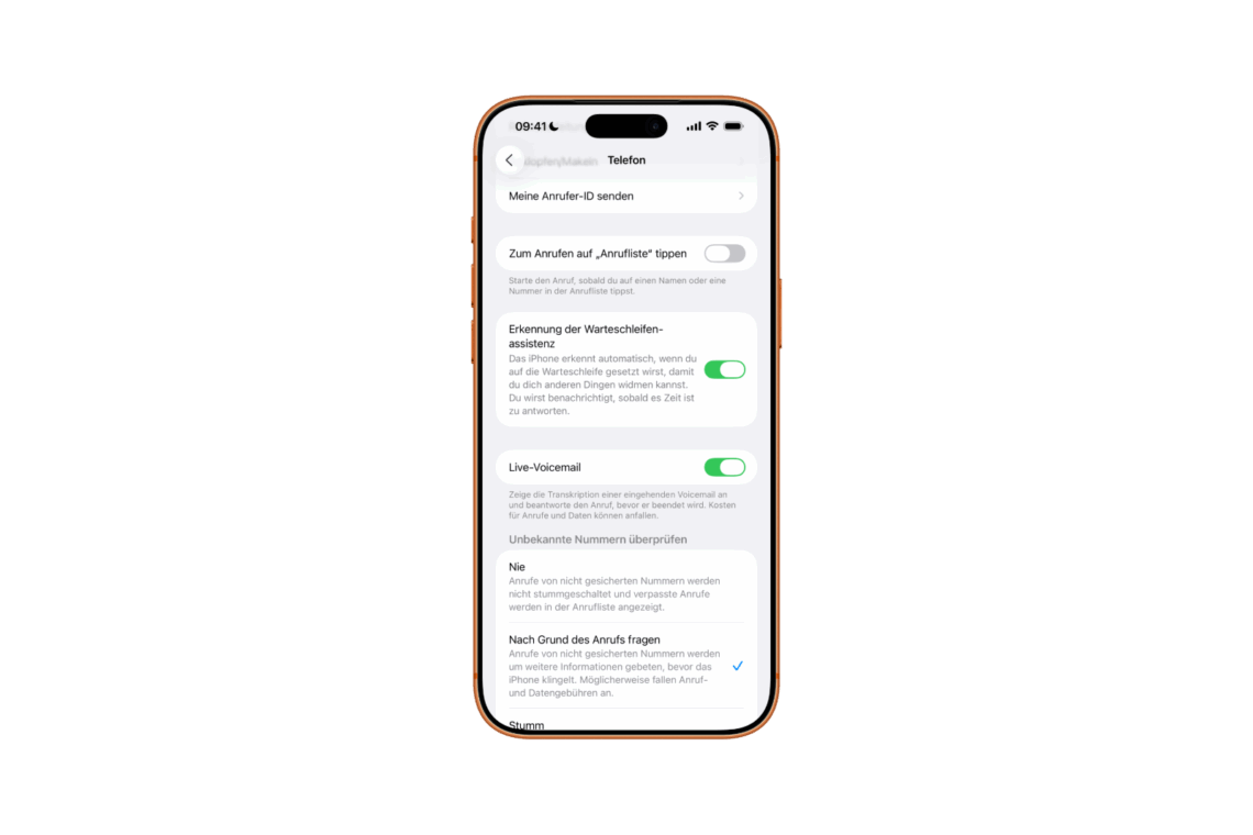 iPhone: How the new call waiting feature works in iOS 26 Apfelpatient