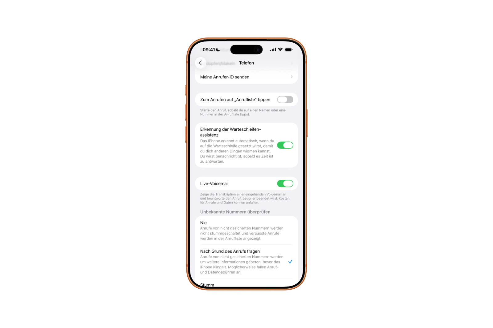 iPhone: How the new call waiting feature works in iOS 26 Apfelpatient